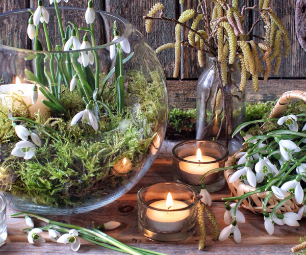 Василиса Еремеева. Авторский мастер-класс «Имболк. Обряды и практики ...